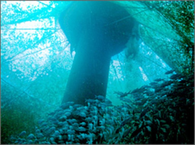 Audit Update: NELHA Makes Progress But Still Has Transparency Issues ...