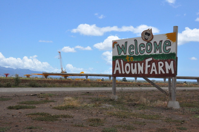 Hoopili Decisions Loom: 'Prime Farmland' May Give Way in West Oahu ...