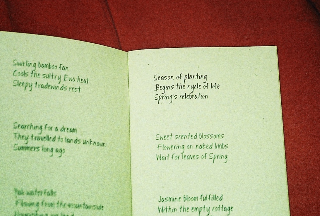 Culture Cave: The Fine Art of Hawaii Politics - Honolulu Civil Beat