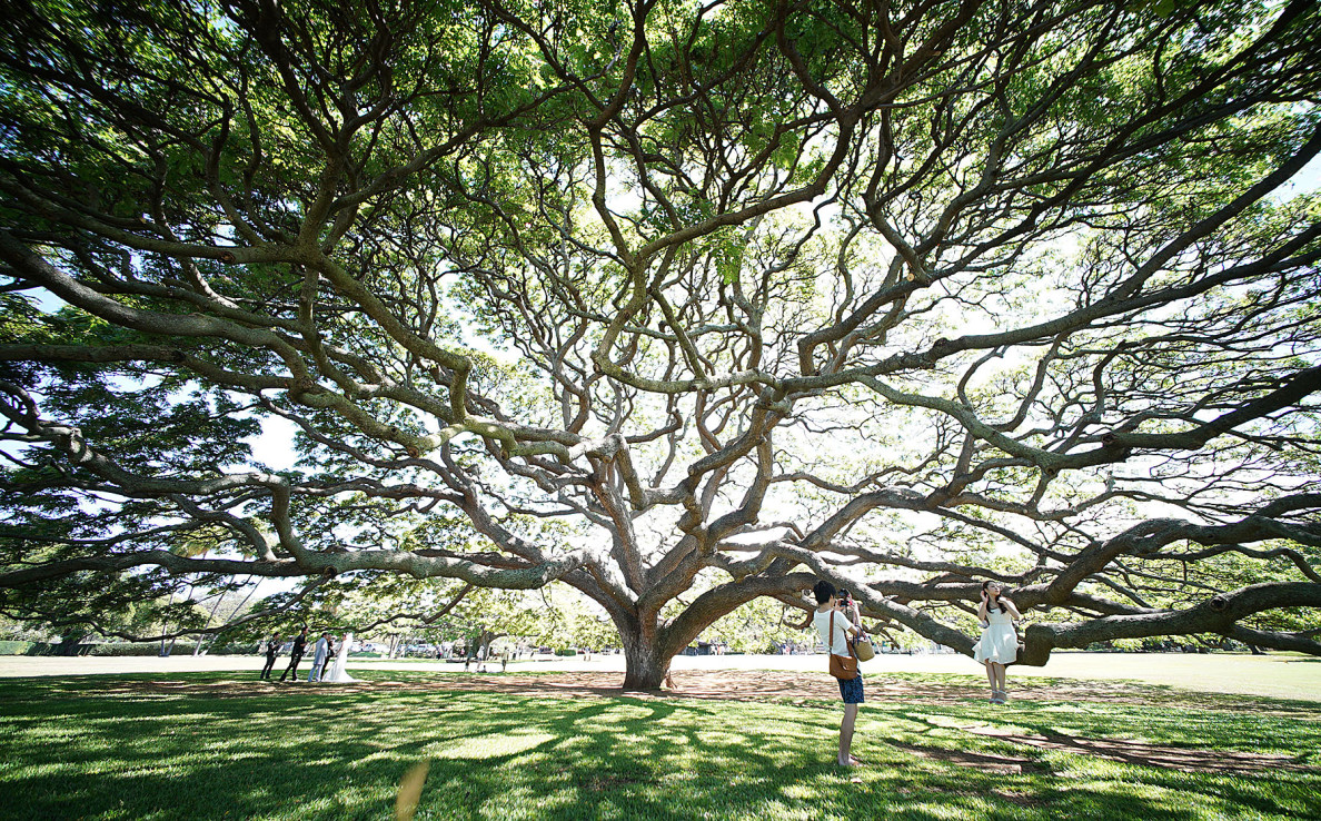 The Projector: A Week of Celebrations and Protests - Honolulu Civil Beat