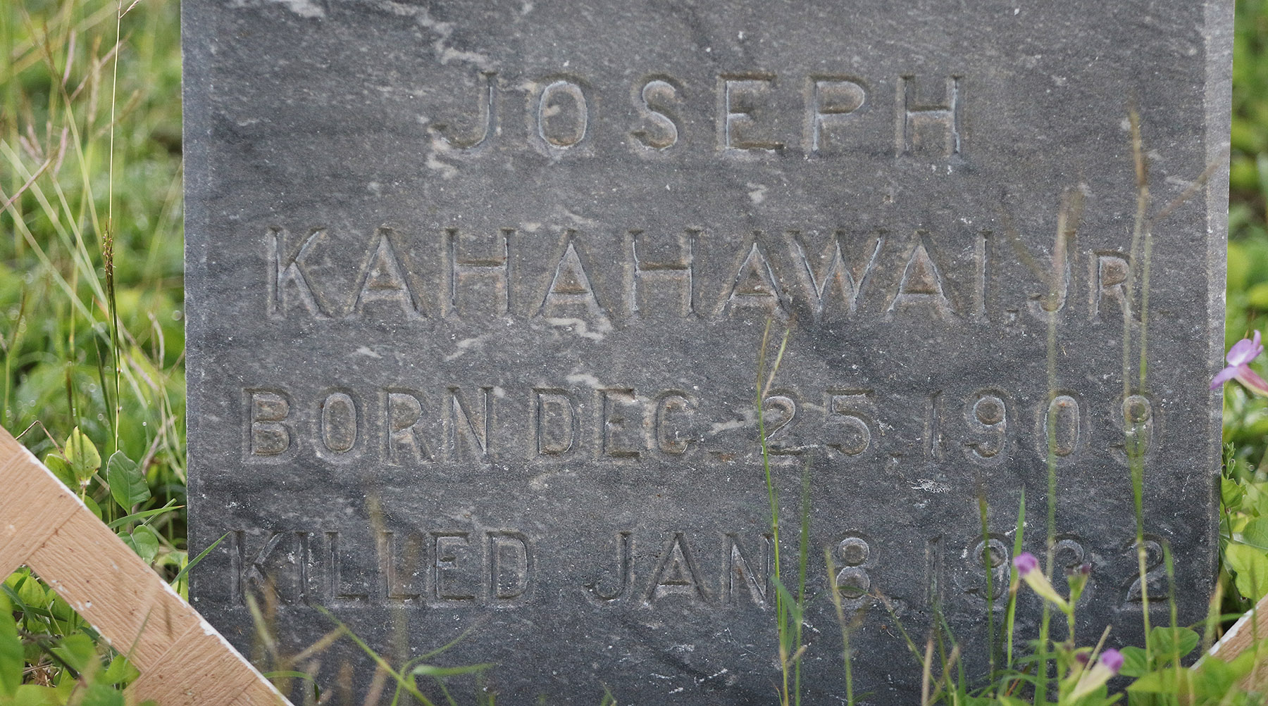 Denby Fawcett: The Most Infamous Legal Case in Hawaii’s History